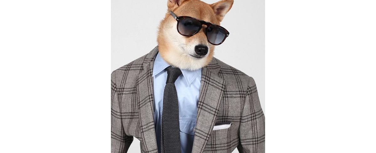 owner和boss有什麼不同？哪個「老板」才對？ | Teacher Sammy's English Language Blog