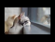 probably, possibly, likely 有什麼不同? | Teacher Sammy's English Language Blog