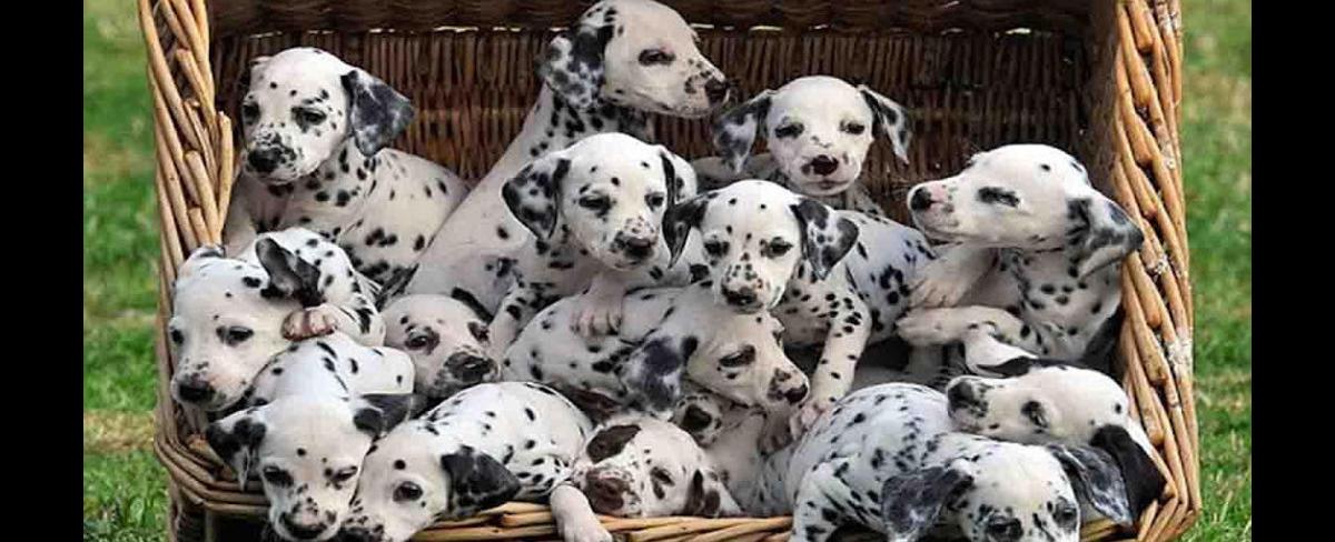 Spot on 是什麼意思？ | Teacher Sammy's English Language Blog