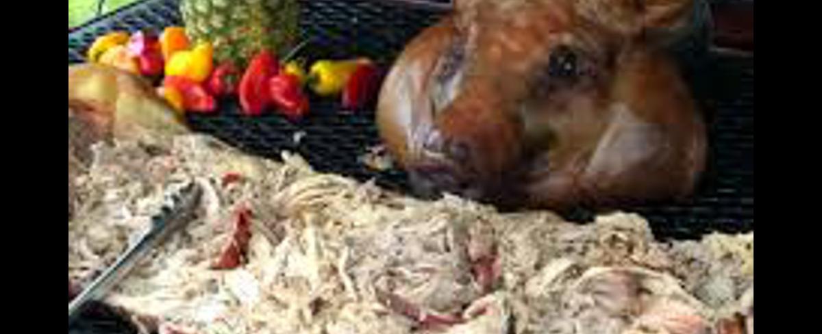 “pig picking” 是什麼? | Teacher Sammy's English Language Blog