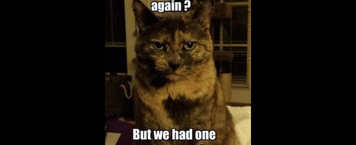 Last Week VS. In the Last Week | Teacher Sammy's English Language Blog