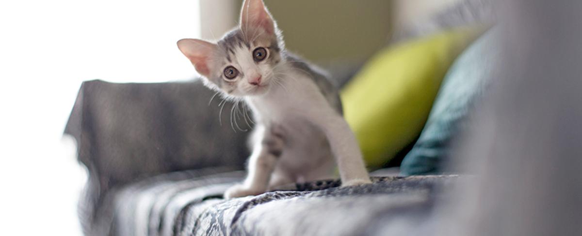 I am home. 和 I am at home. 到底哪個對？ | Teacher Sammy's English Language Blog