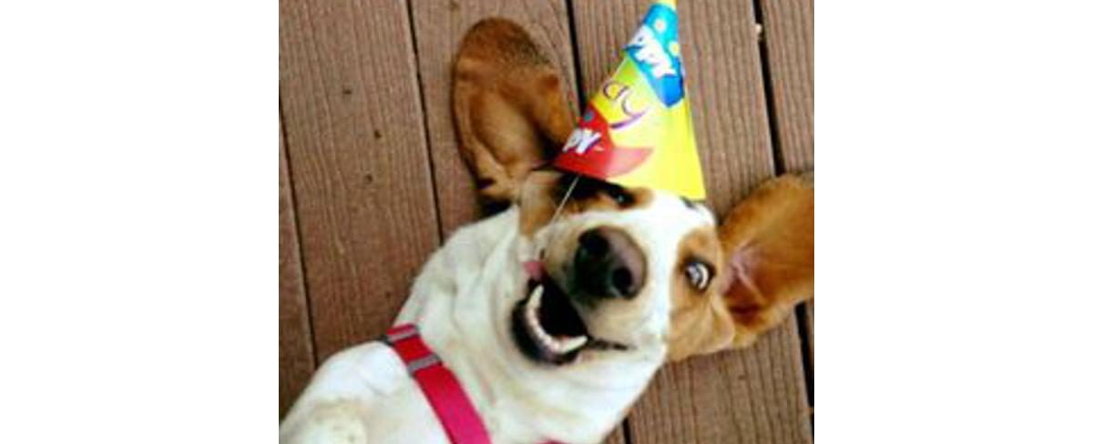 流行字「turnt」是什麼意思？ | Teacher Sammy's English Language Blog