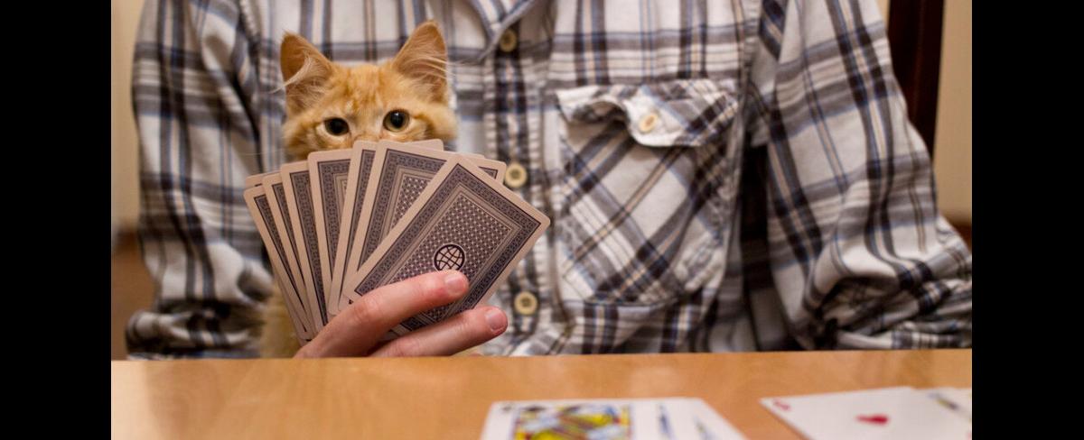 chance 和 opportunity 有什麼不同？ | Teacher Sammy's English Language Blog