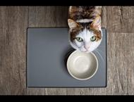 I am finished 和 I have finished 有什麼不同？ | Teacher Sammy's English ...