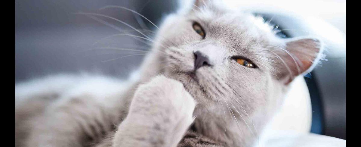 I think... VS. I feel... 你要說的是哪個？ | Teacher Sammy's English Language Blog